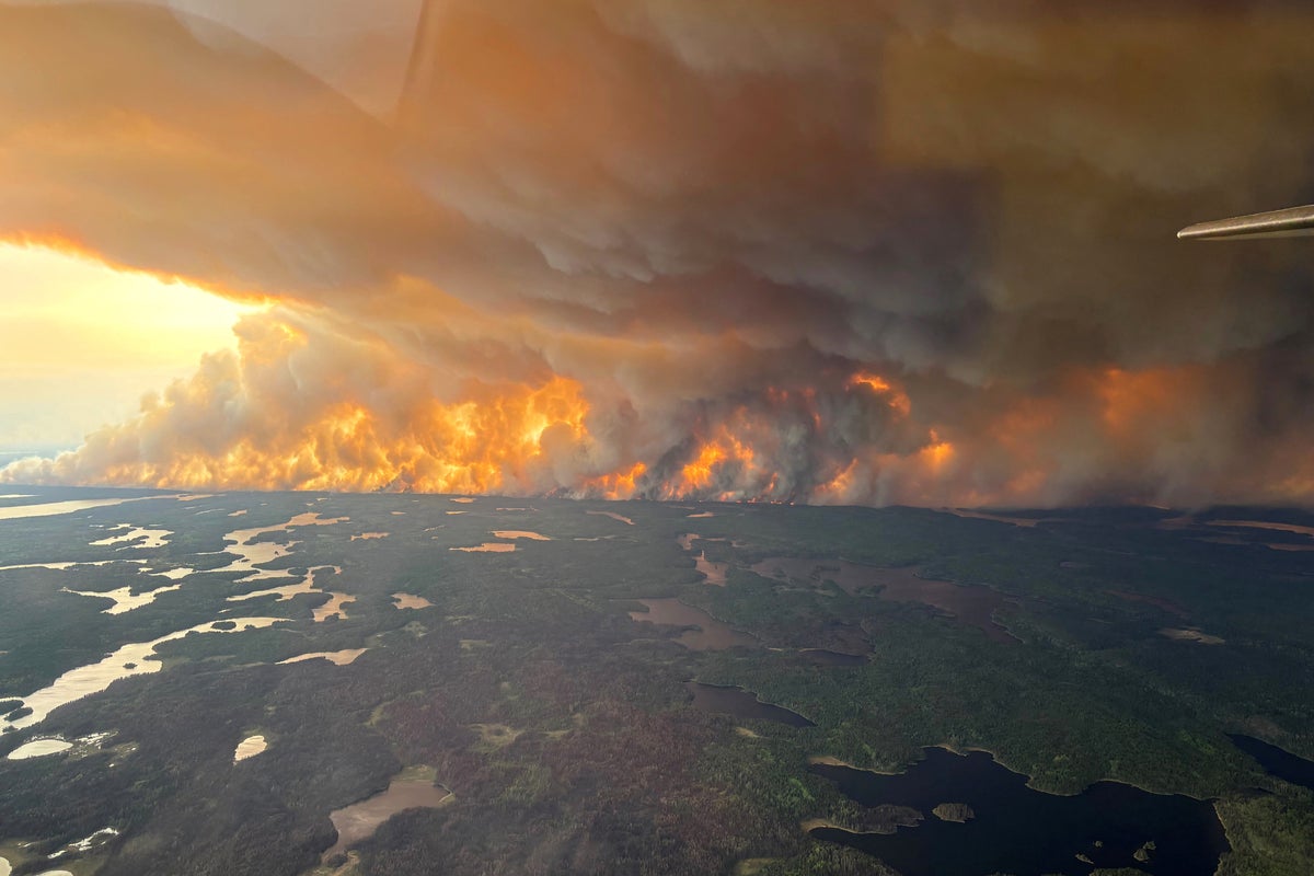 Canada wildfires: 17,000 forced to evacuate as forest fires rage across Manitoba