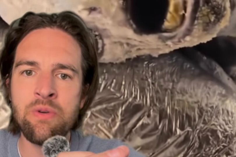 'Alien mummy' found in sarcophagus is 'sky cousin' who humans will ...