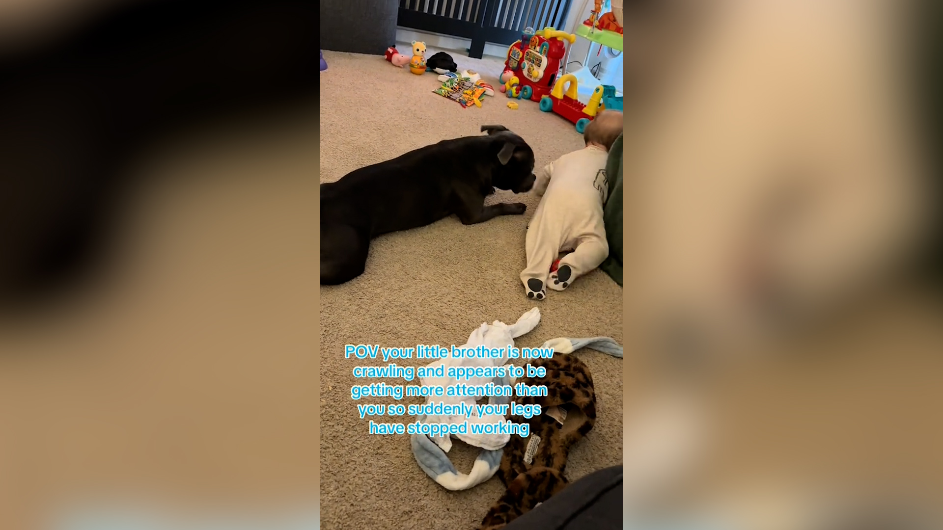 Baby Learns To Crawl, Dog Copies In Hilarious Fashion