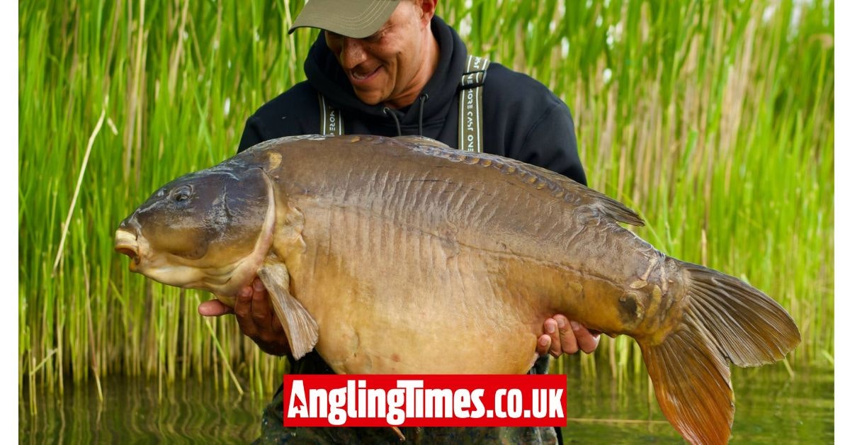 Former footballer lands record-breaking carp on underwater camera
