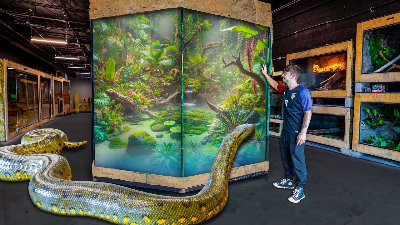 Meet the Giant Green Anaconda in Its New Zoo Home