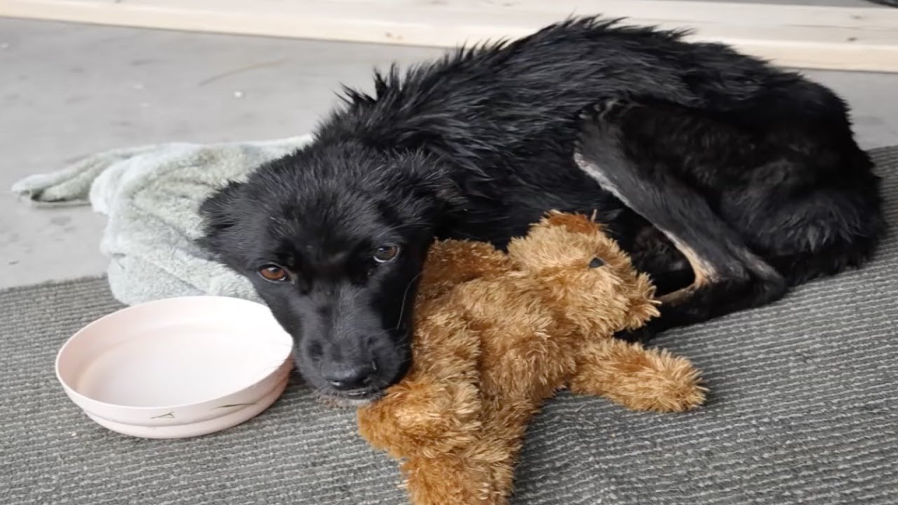 This Man Made A Life Changing Discovery At The Bottom of A Canyon