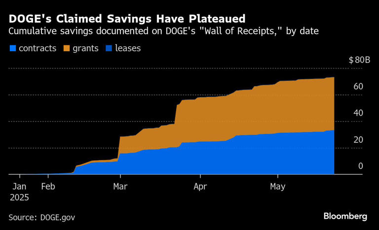 Musk Exits DOGE Leaving Threadbare Agencies and Strained Workers