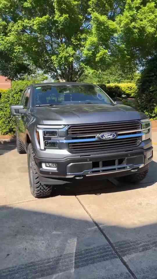 Ford F-150 King Branch with Leveling kit