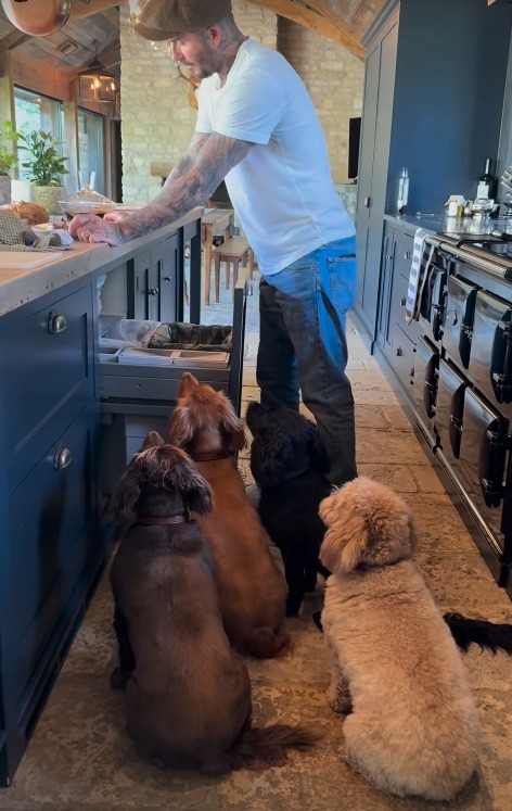 Victoria Beckham's unseen angle of Cotswolds kitchen shows most epic ...