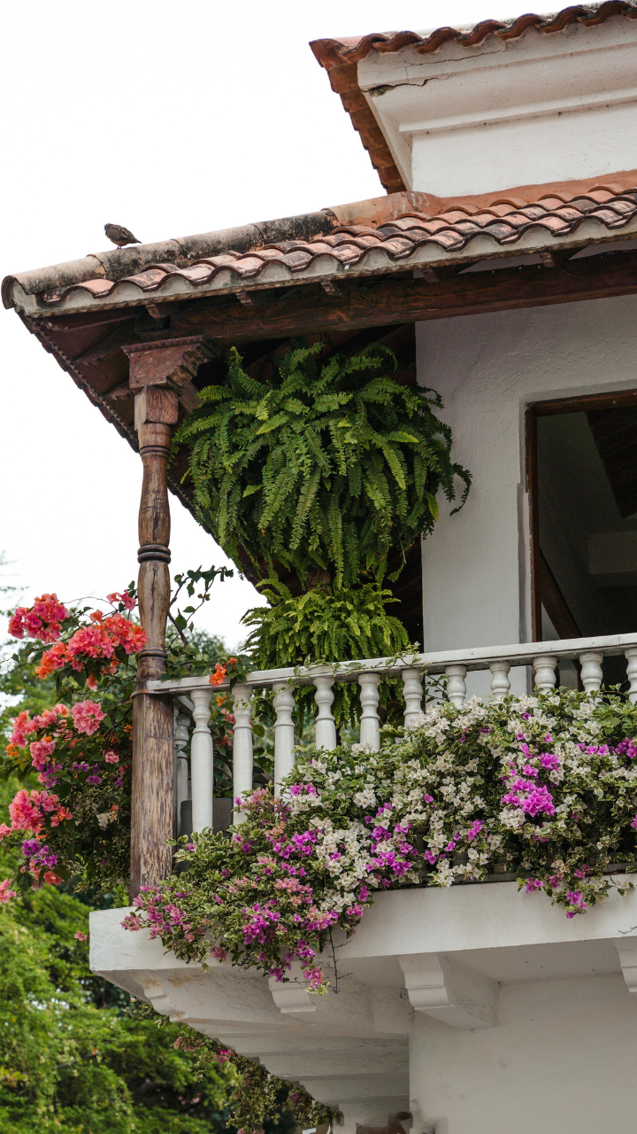 10 common gardening practices that will put your plants at risk