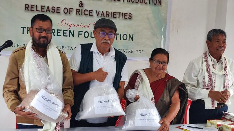 Manipur unveils five new disease-resistant, high-yielding paddy ...