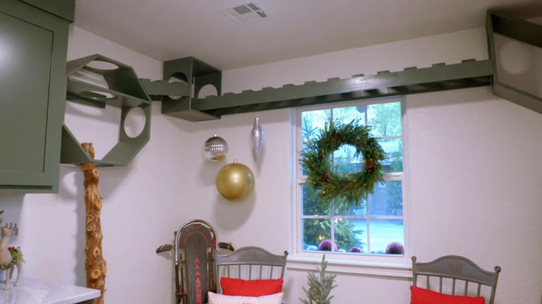 7 Genius Pet-Friendly Home Improvement Ideas From HGTV's Jenny And Dave ...