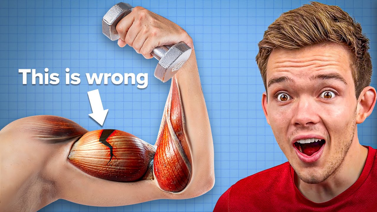 How Muscles Really Grow Explained