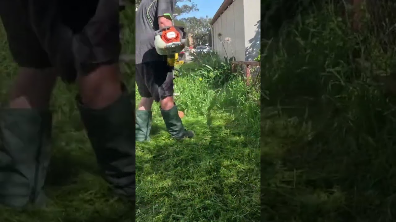 Mowing Down A Very Overgrown Lawn
