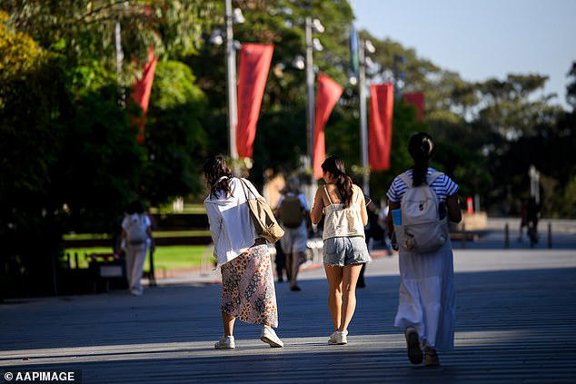 How Donald Trump's international student ban could spark student rush ...