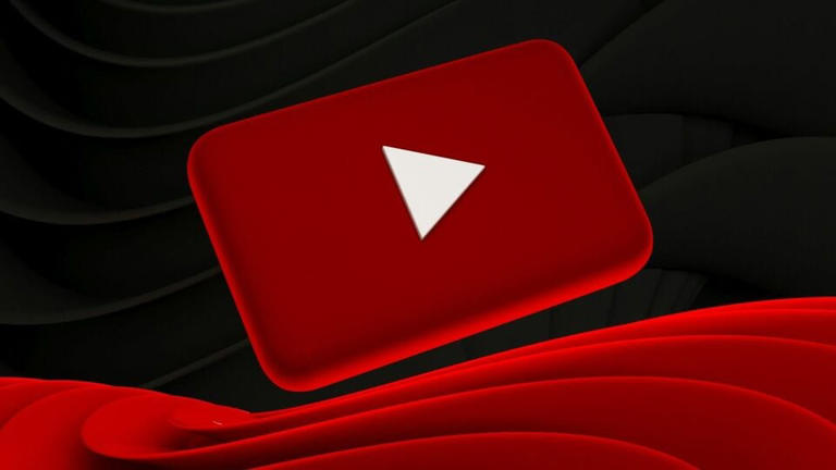 YouTuber Mohak Mangal's video about ANI appears disparaging, says Delhi High Court