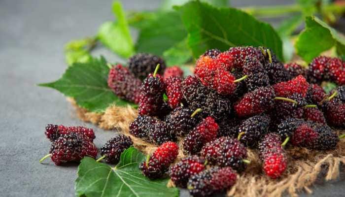 5 Scientific Reasons Why Oily And Acne-Prone Skin Loves Mulberry Extract