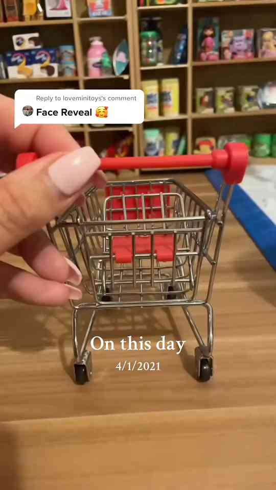 My Amazing Mini Brands Collection You Have to See