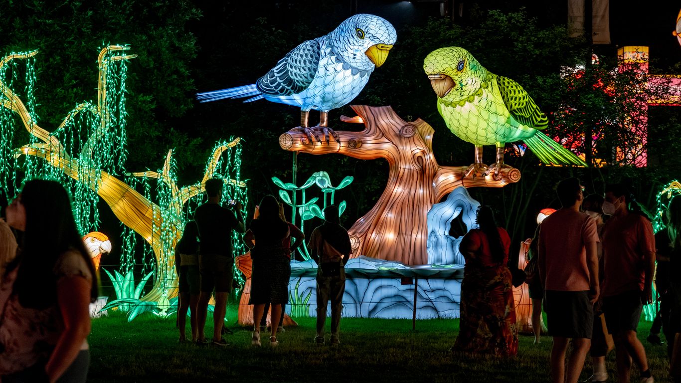 Weekender: 30 things to do in Charlotte this weekend including concerts and a light show