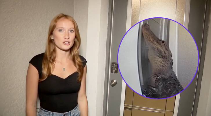 Florida family awoken by gator at their front door