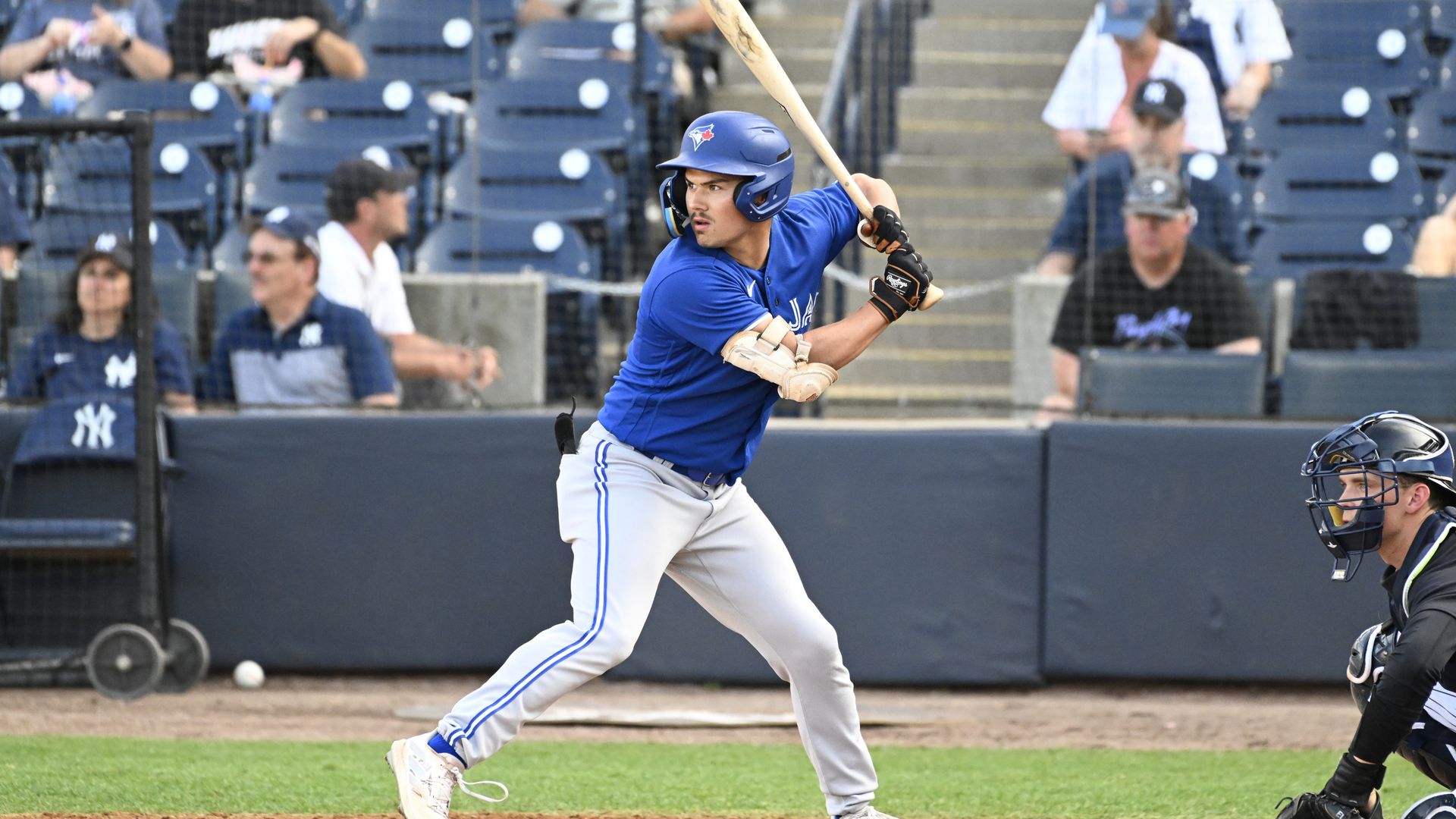 Taking Wing: Sam Shaw