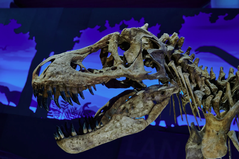 Dinosaurs could hold key to cancer discoveries, UK scientists say