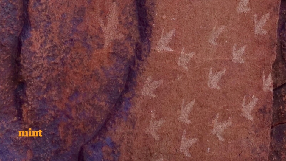 Ancient rock carvings, world’s oldest human face drawings in danger ...