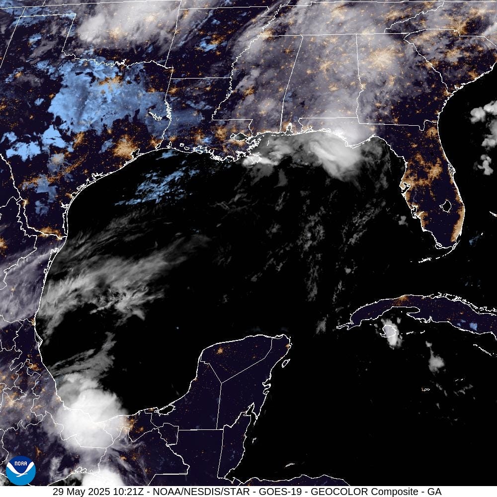 National Hurricane Center tracking tropical waves; Tropical Storm Alvin ...