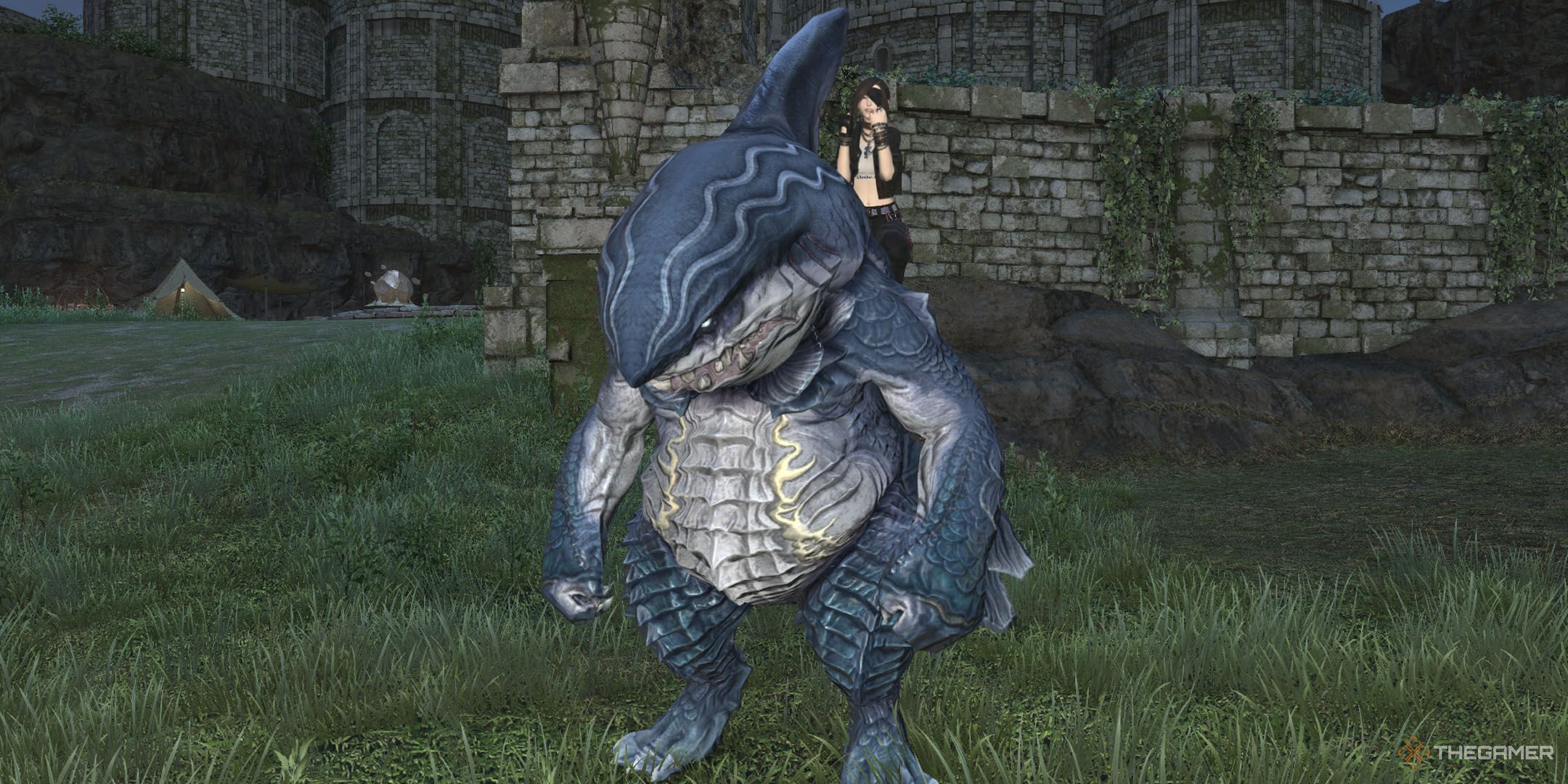 How To Get All Patch 7.25 Mounts In FFXIV