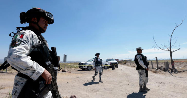 Eight Soldiers Dead After IED Blast in Mexico