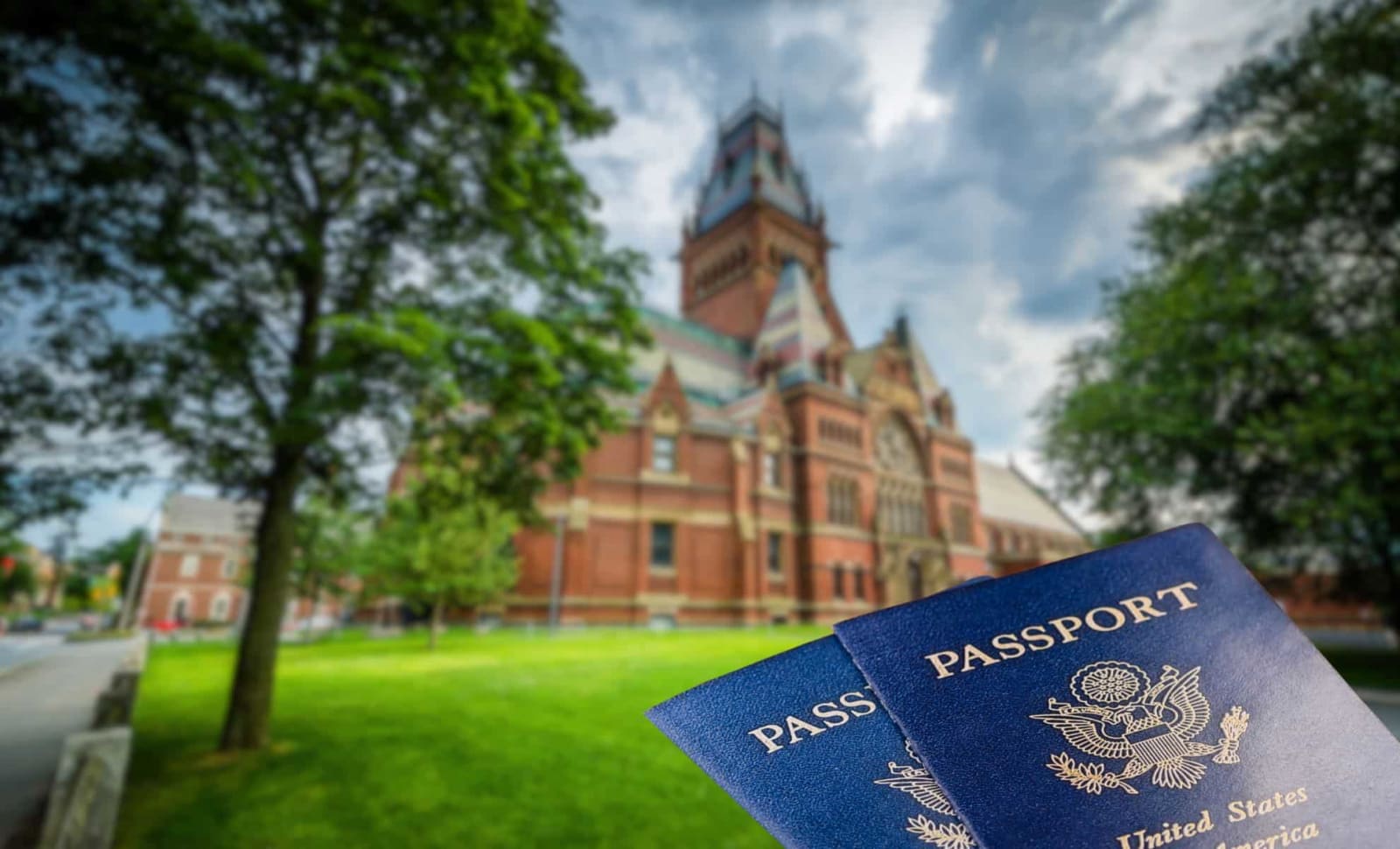 All Harvard-Related Visas Under Federal Scrutiny in Expanded State ...