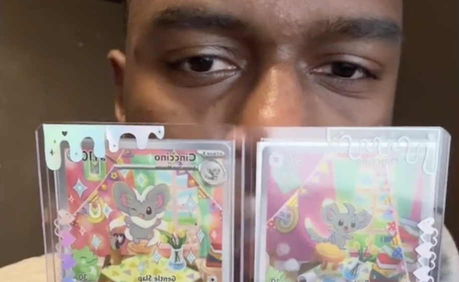 Pokémon Fan Builds Ultimate Collection Worth a Car