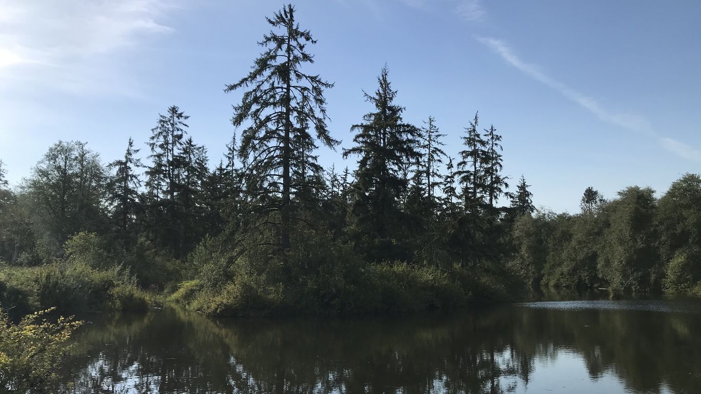 This overlooked Oregon ecosystem is a carbon storing powerhouse