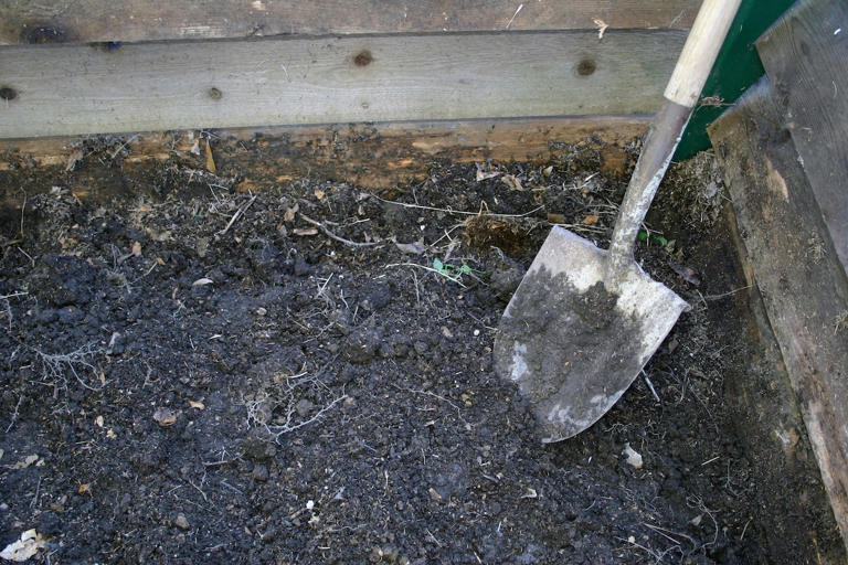 Do You Know the Difference Between a Spade and a Shovel? What All DIY ...