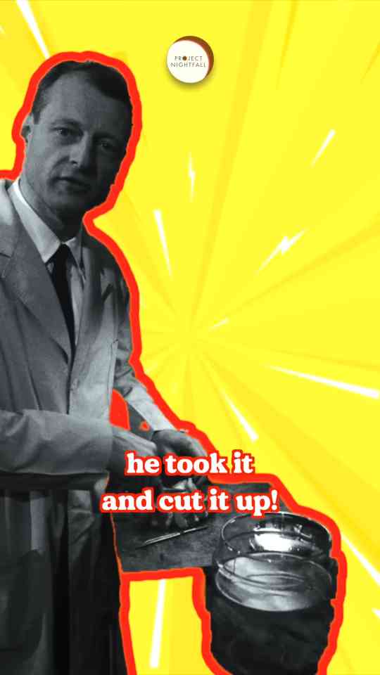 He Stole Albert Einstein's Brain