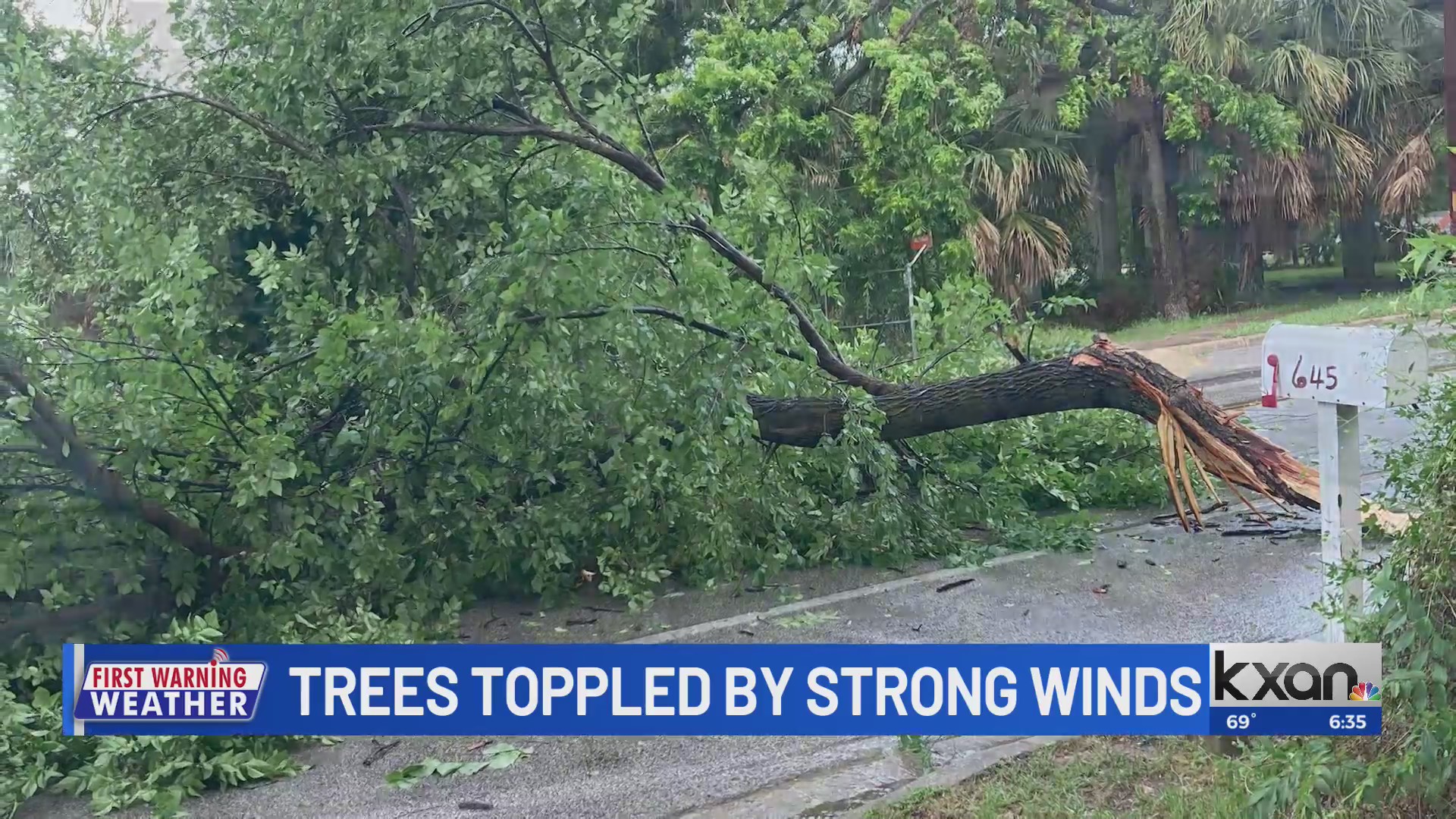Storm damage reaches downtown Austin, topples trees