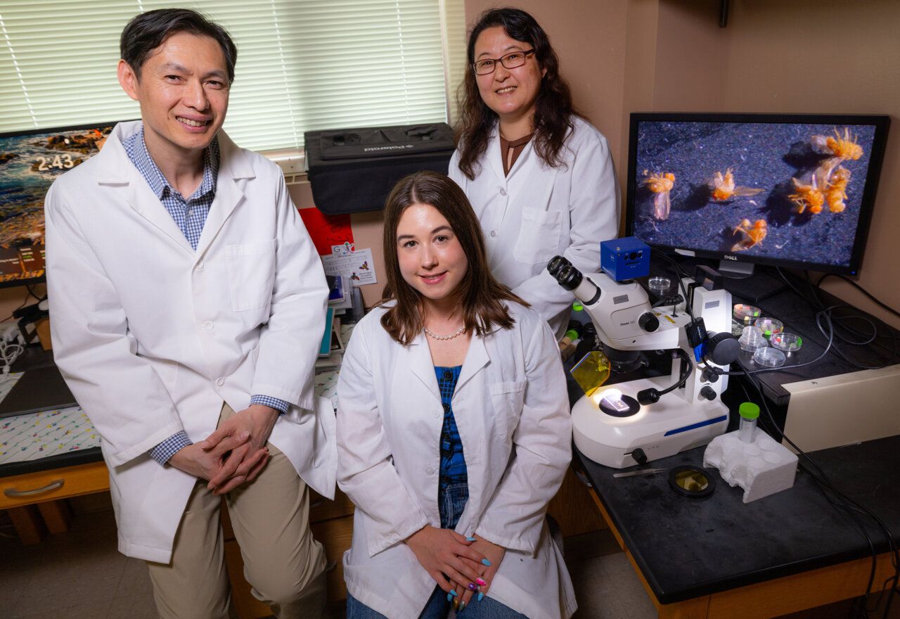 Developmental delays linked to longer life in fruit flies offer ...