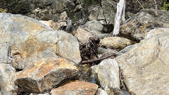 Optical illusion: Only those with top-notch observation skills can spot ...