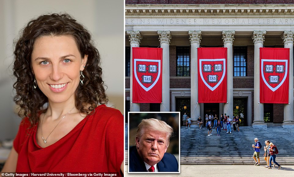 Harvard professor fired for allegedly fabricating research earned $1M