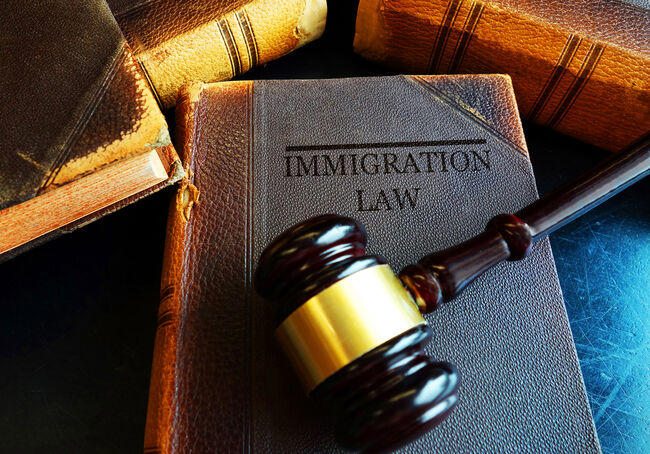 Judge Issues Nationwide Injunction Against Birthright Citizenship Order