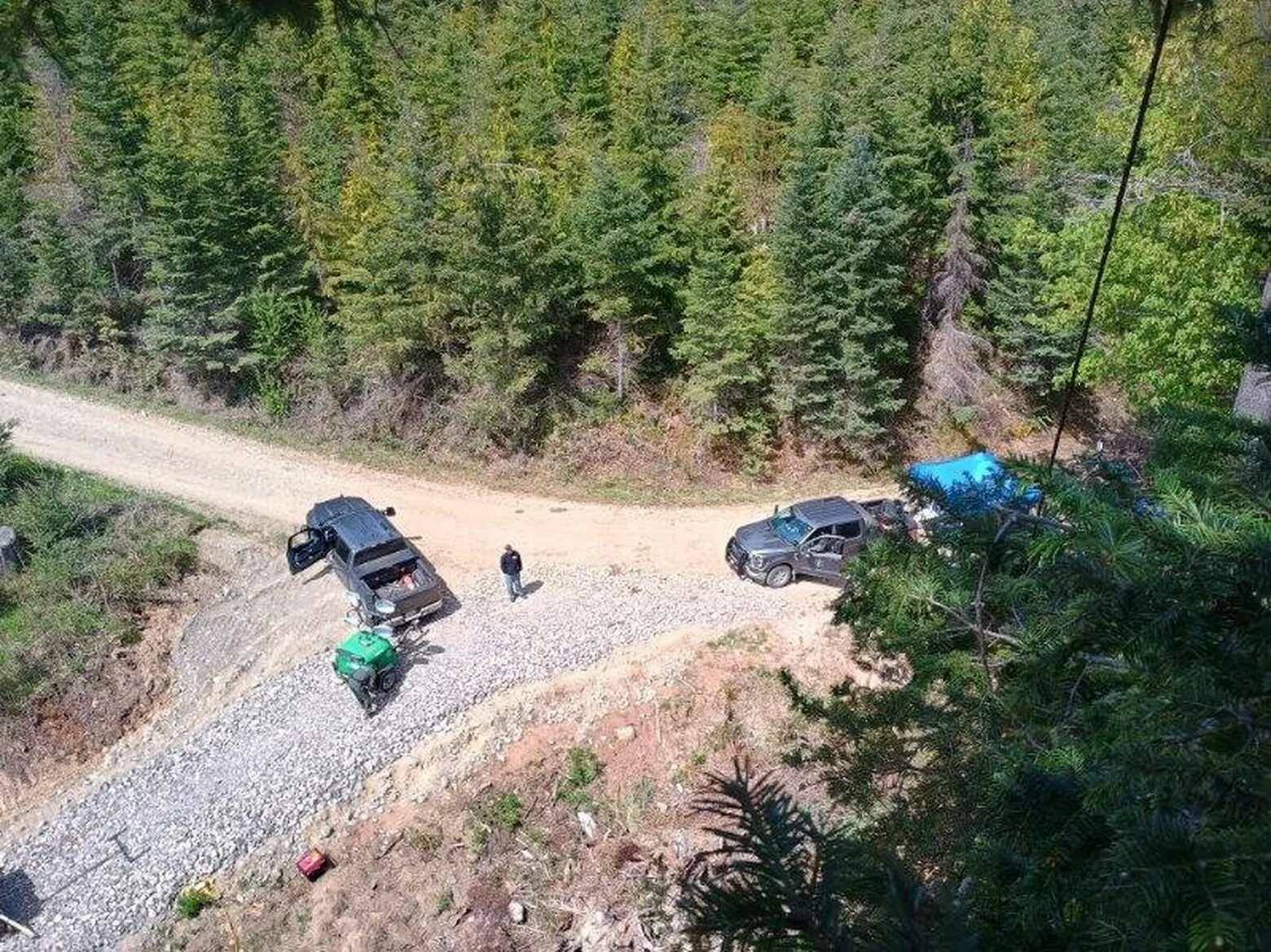 Court denies request to halt logging activity in Elwha Watershed