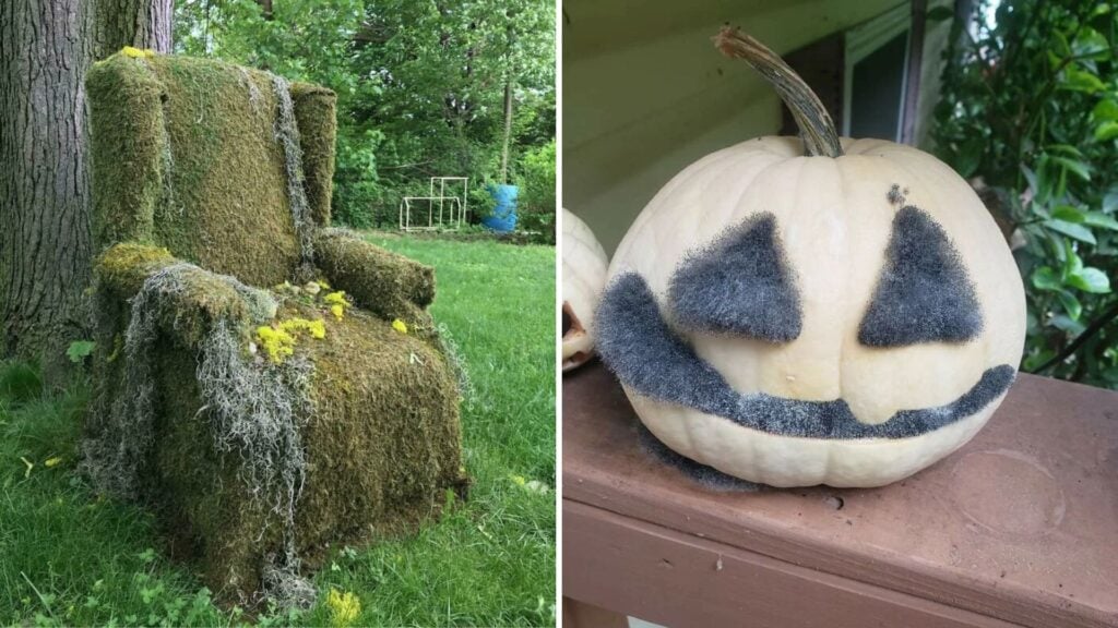 30 Photos That Show the Effects of Passing Time