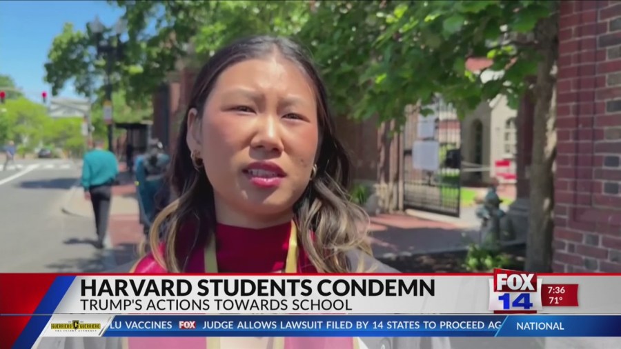 Harvard students speak out against Trump