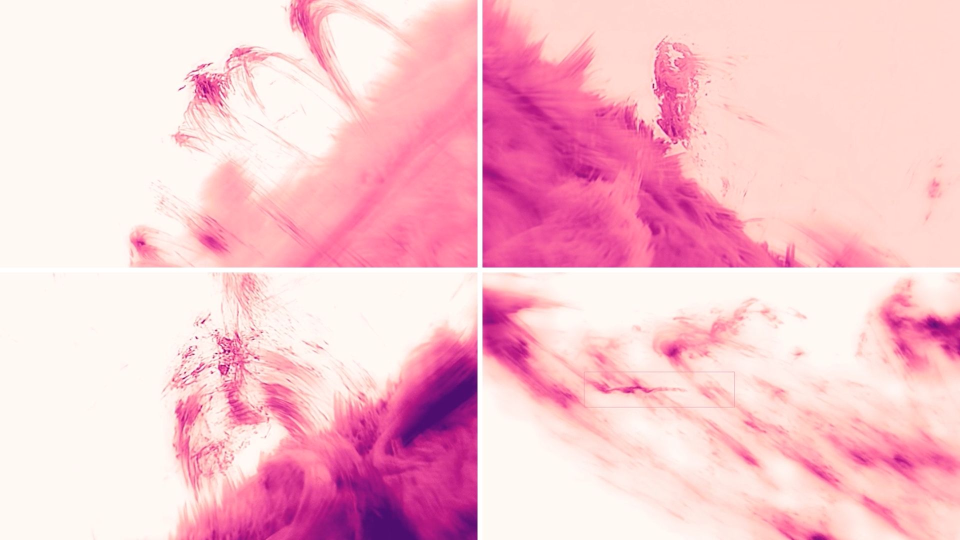 Scientists capture never-before-seen plasma streams and bizarre ...