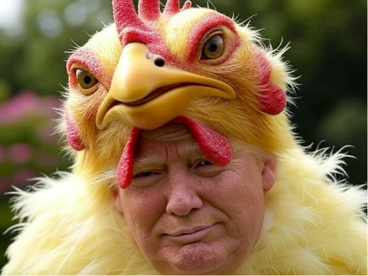 Tacos with Trump’s face, chickens on his head: Internet explodes with memes on 'Trump Always ...