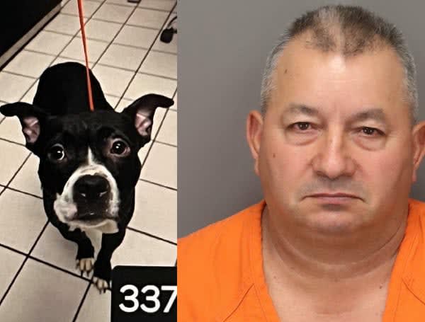 In Defense Of Animals Applauds Florida’s ‘Dexter’s Law’ To Combat ...