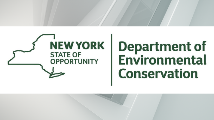 DEC: Forest ranger rescues hikers on hallucinogenic mushrooms