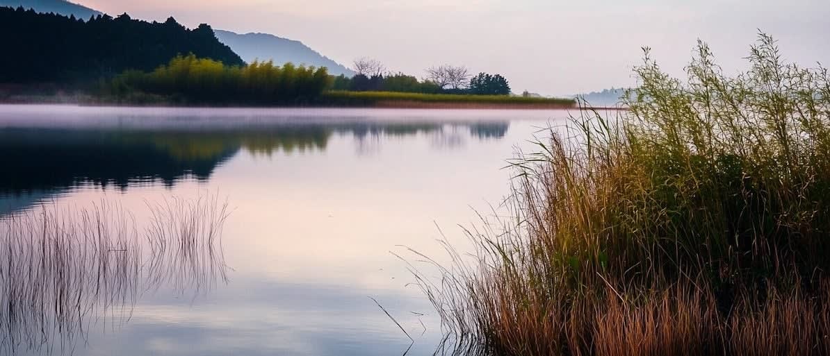 Utah Dog Discovers Dismembered Foot On Shore Of Lake, Potentially ...