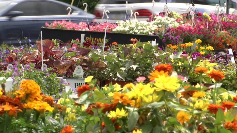 Heavy amount of rainfall causes some farmers to fall behind schedule