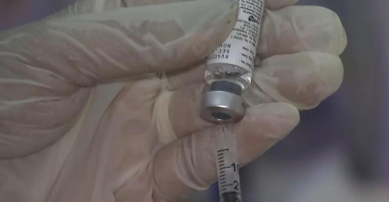 DOH: Region III logged the most rabies cases in 2025 as of May 17