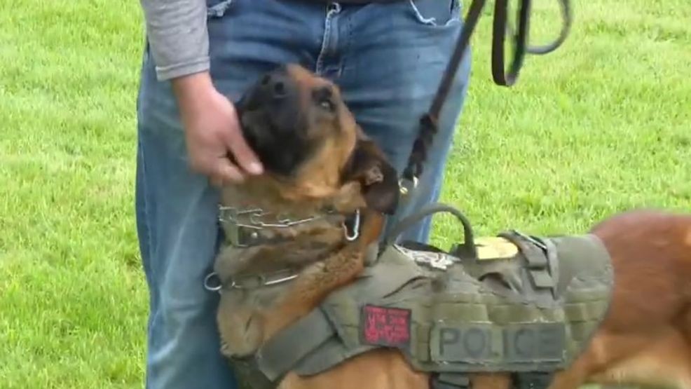 Jefferson County's new K9 Bane enhances drug task force operations