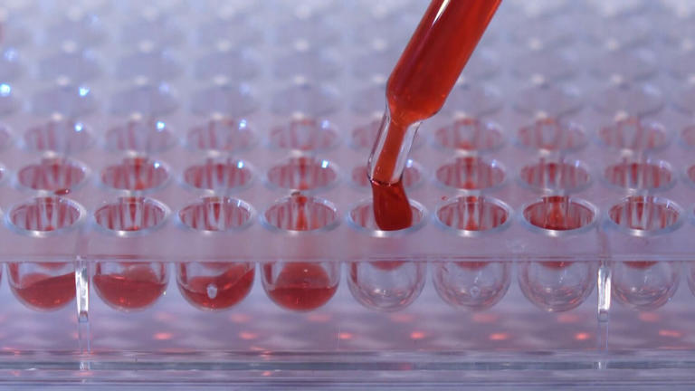 Chippewa Valley Alzheimer’s advocacy group reacts to news of latest ...