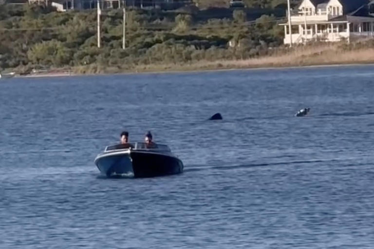 20-foot shark trails behind tiny boat on Block Island, sparking ‘Jaws ...