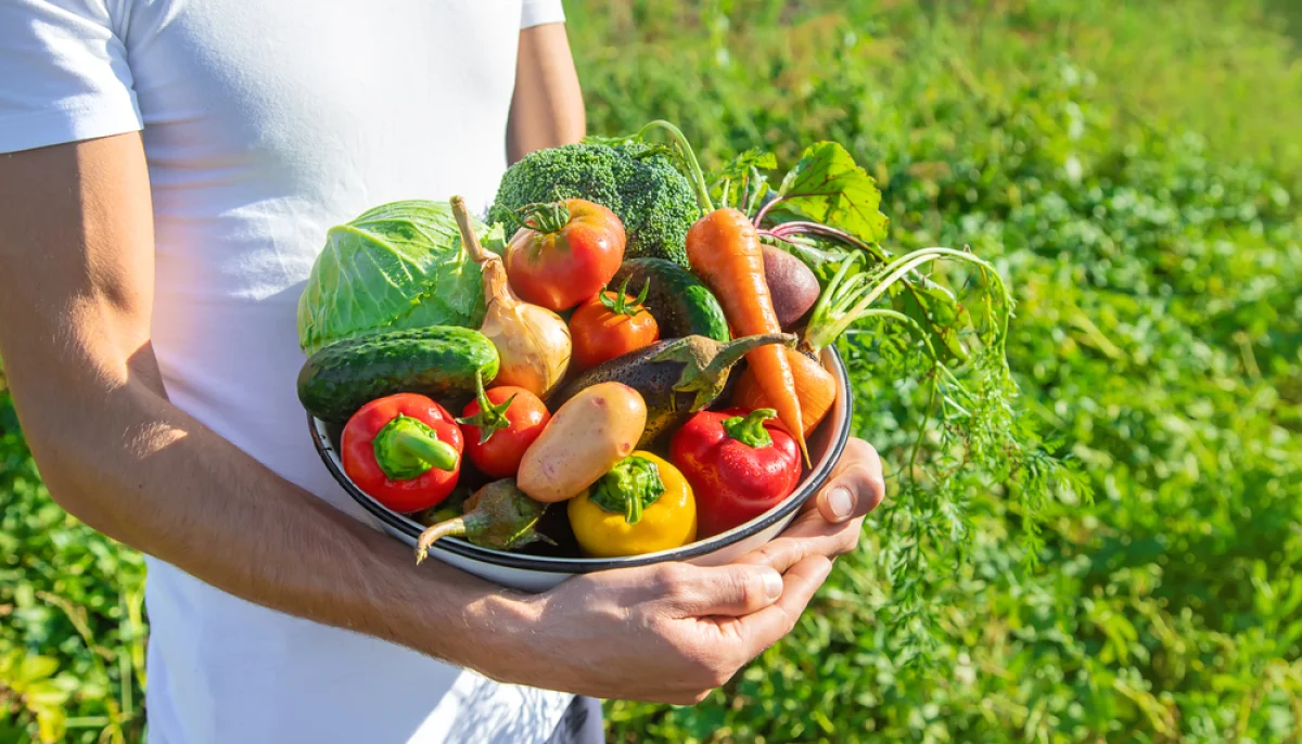 Que cuisiner avec les légumes de printemps ? Nos idées simples et ...